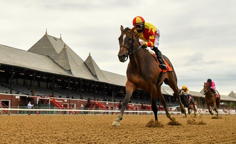 Dayoutoftheoffice to Make 2021 Debut in Eight Belles - BloodHorse