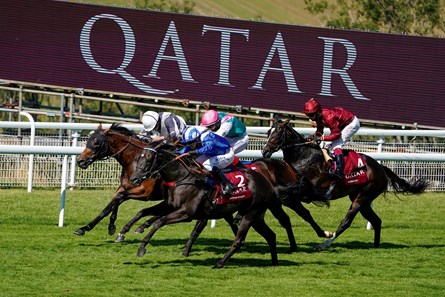 Mohaather (GB) - Horse Profile - BloodHorse