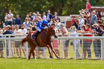 Earthlight (IRE) - Horse Profile - BloodHorse