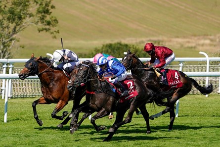 Mohaather (GB) - Horse Profile - BloodHorse