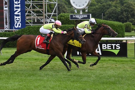 Classic Lady - Horse Profile - BloodHorse