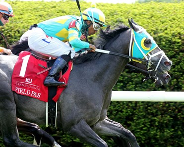 Field Pass - Horse Profile - BloodHorse