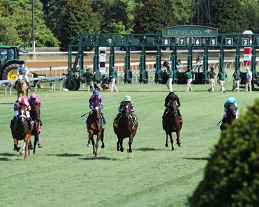 Rushing Fall - Horse Profile - BloodHorse