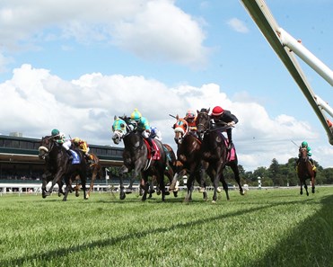 Field Pass - Horse Profile - BloodHorse