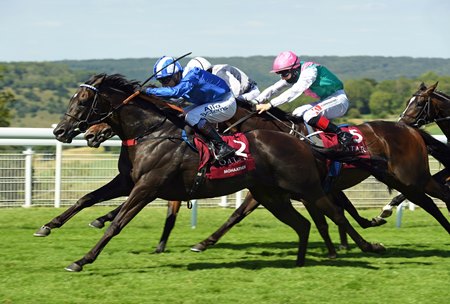 Group 1 Winner Mohaather Retired Due to Injury - BloodHorse