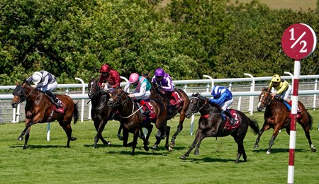 Mohaather (GB) - Horse Profile - BloodHorse