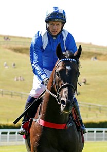 Mohaather (GB) - Horse Profile - BloodHorse