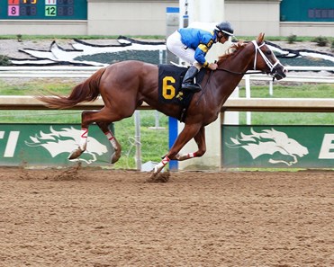 Cacki - Horse Profile - BloodHorse