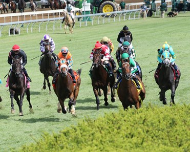 Field Pass - Horse Profile - BloodHorse
