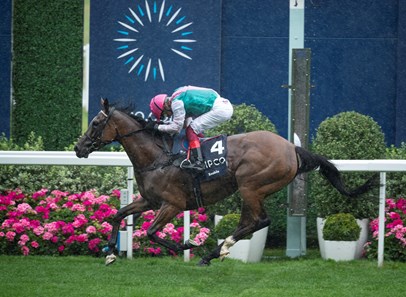 Enable (GB) - Horse Profile - BloodHorse