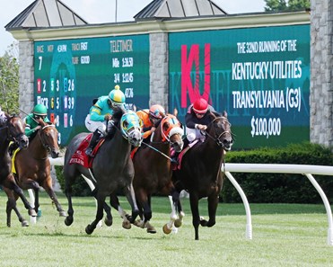 Field Pass - Horse Profile - BloodHorse