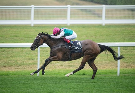 Enable (GB) - Horse Profile - BloodHorse