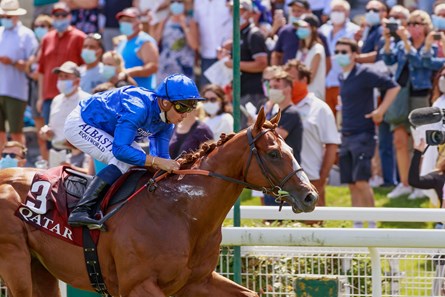 Earthlight (IRE) - Horse Profile - BloodHorse