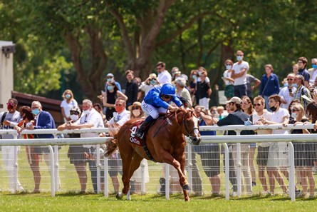 Earthlight (IRE) - Horse Profile - BloodHorse