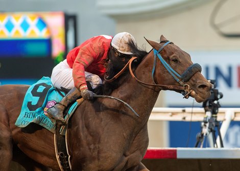 Seven New Stallions Join Ontario Improvement Program - BloodHorse