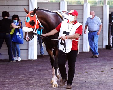 Fancy Liquor - Horse Profile - BloodHorse