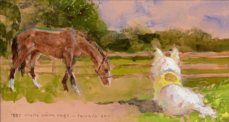 Union Rags - Horse Profile - BloodHorse