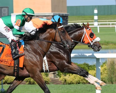 Fancy Liquor - Horse Profile - BloodHorse