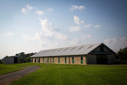 Barnes - Horse Profile - BloodHorse