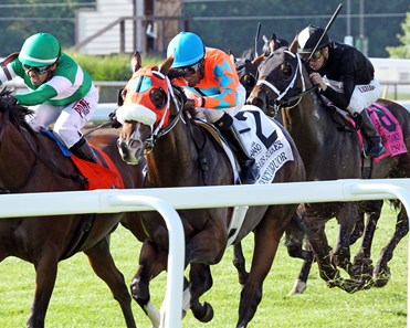 Fancy Liquor - Horse Profile - BloodHorse