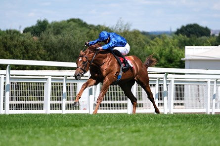 Yibir (GB) - Horse Profile - BloodHorse