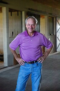 Barnes - Horse Profile - BloodHorse