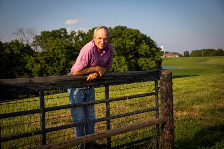 Barnes - Horse Profile - BloodHorse