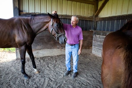 Barnes - Horse Profile - BloodHorse