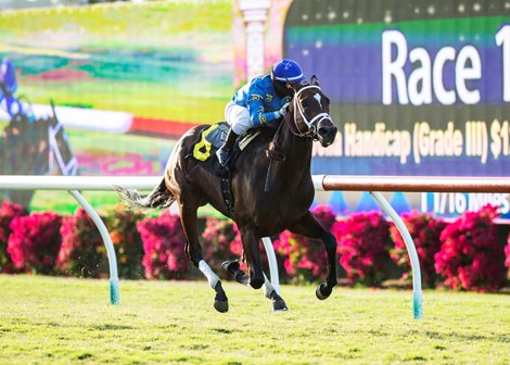 Smooth Like Strait Wins La Jolla Over Storm the Court - BloodHorse