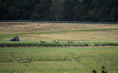 Subjectivist (GB) - Horse Profile - BloodHorse