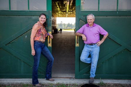 Barnes - Horse Profile - BloodHorse