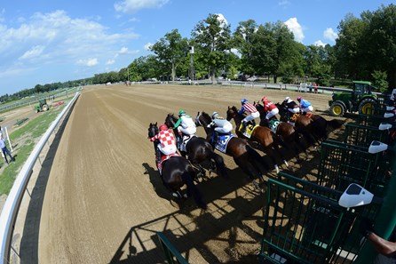 Serengeti Empress - Horse Profile - BloodHorse