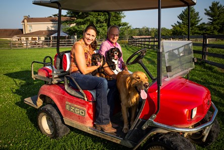Barnes - Horse Profile - BloodHorse