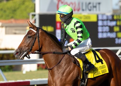 My Girl Red - Horse Profile - BloodHorse