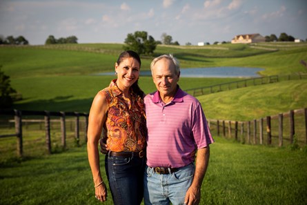 Barnes - Horse Profile - BloodHorse