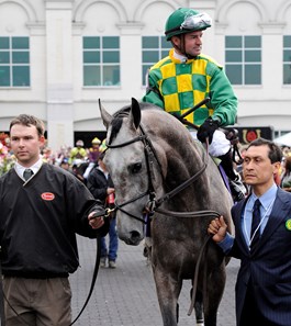 Paddy O'Prado - Horse Profile - BloodHorse