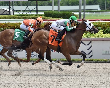 Tara - Horse Profile - BloodHorse