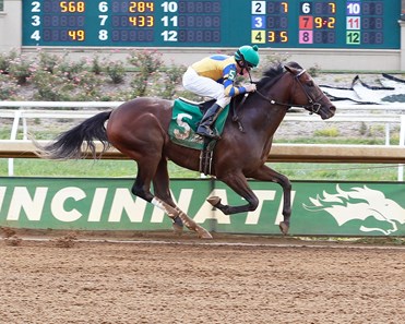 Brink Point - Horse Profile - BloodHorse