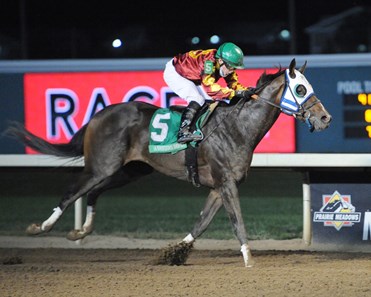 Mollies Rocket - Horse Profile - BloodHorse