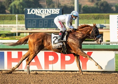 Improbable - Horse Profile - BloodHorse