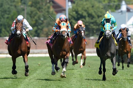 Fancy Liquor - Horse Profile - BloodHorse