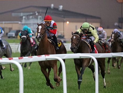 This Week's Schedule of Racing on Radio, Television - BloodHorse