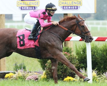 Got Stormy - Horse Profile - BloodHorse