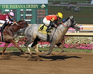 Piedi Bianchi - Horse Profile - BloodHorse