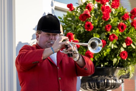 Bugler - Horse Profile - BloodHorse