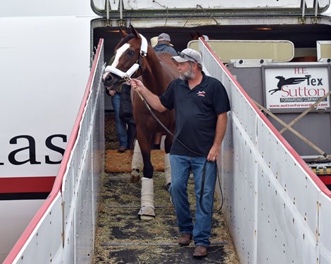 Tex Sutton Still Pursuing New Lease on Cargo Plane - BloodHorse