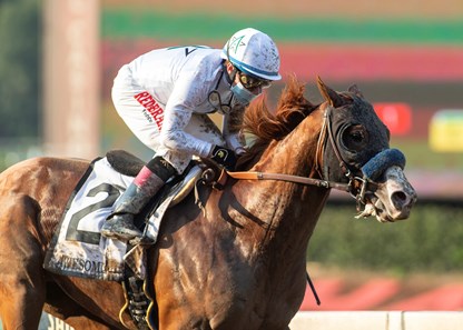 Improbable - Horse Profile - BloodHorse