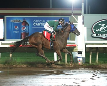 Fireman Oscar - Horse Profile - BloodHorse