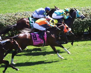 Fancy Liquor - Horse Profile - BloodHorse