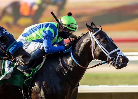 Curlin to Mischief Sires First Stakes Winner at Del Mar - BloodHorse